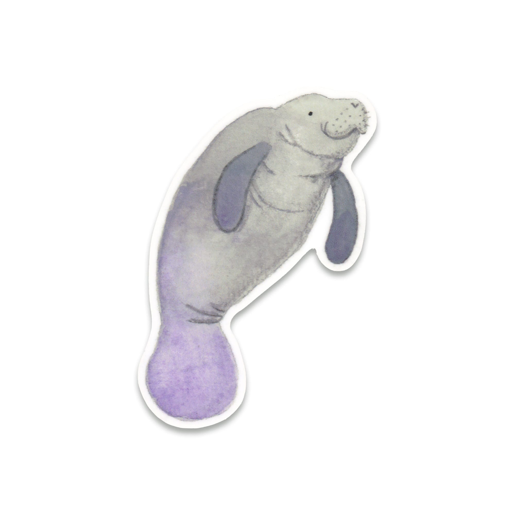 Manatee Sticker | Etsy