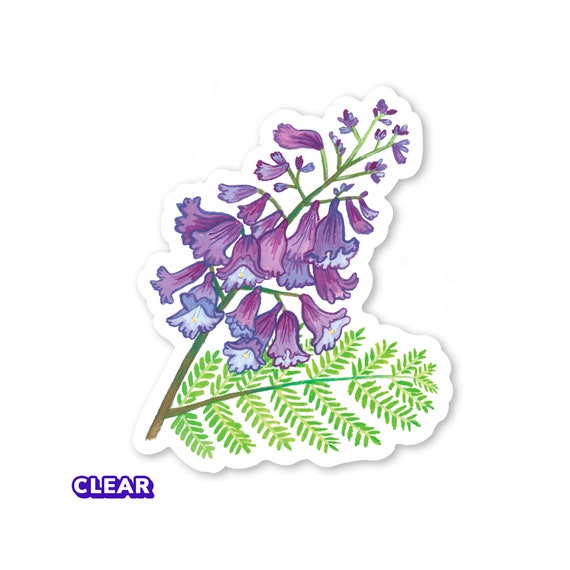 Jacaranda Clear Sticker - Etsy