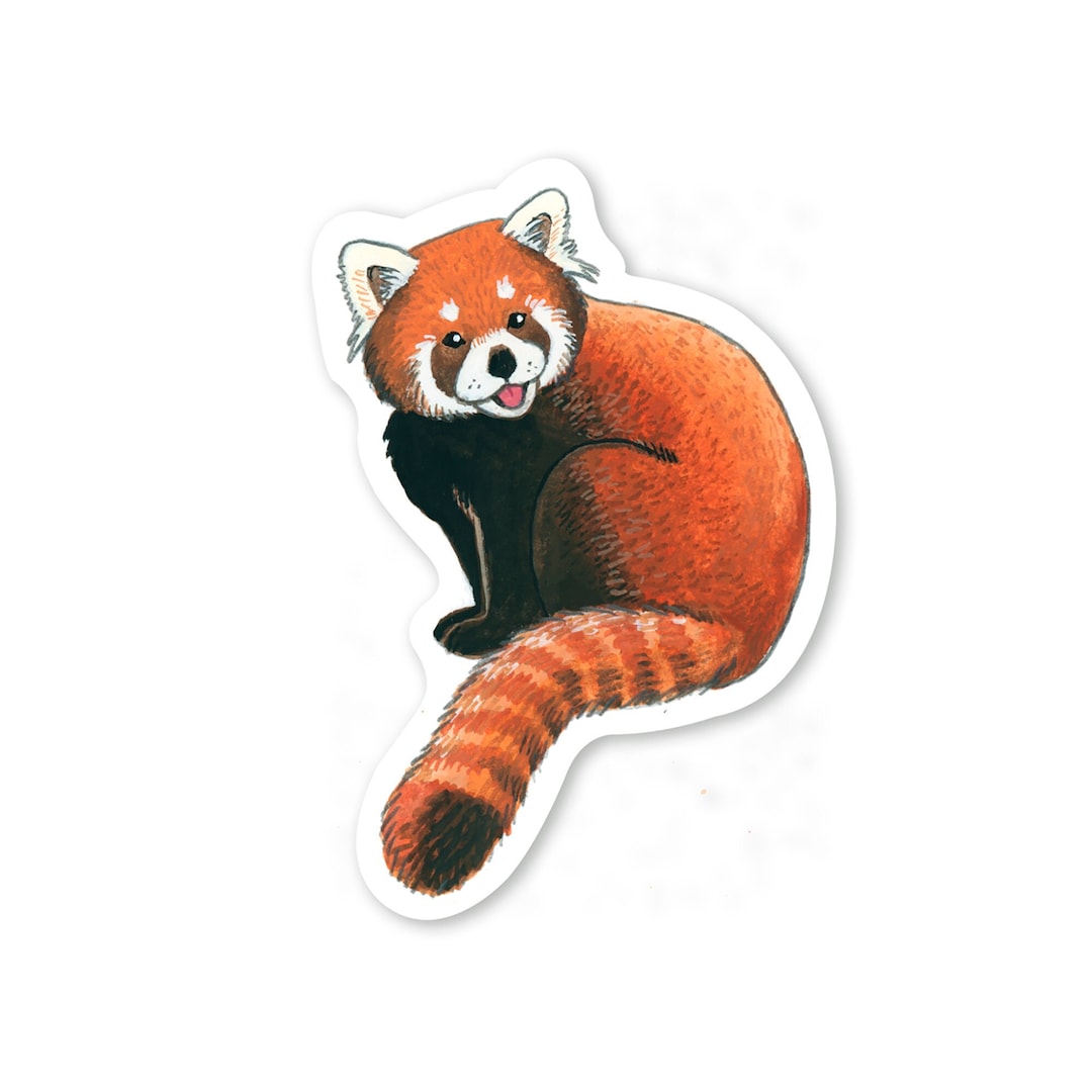 Red Panda Sticker - Etsy