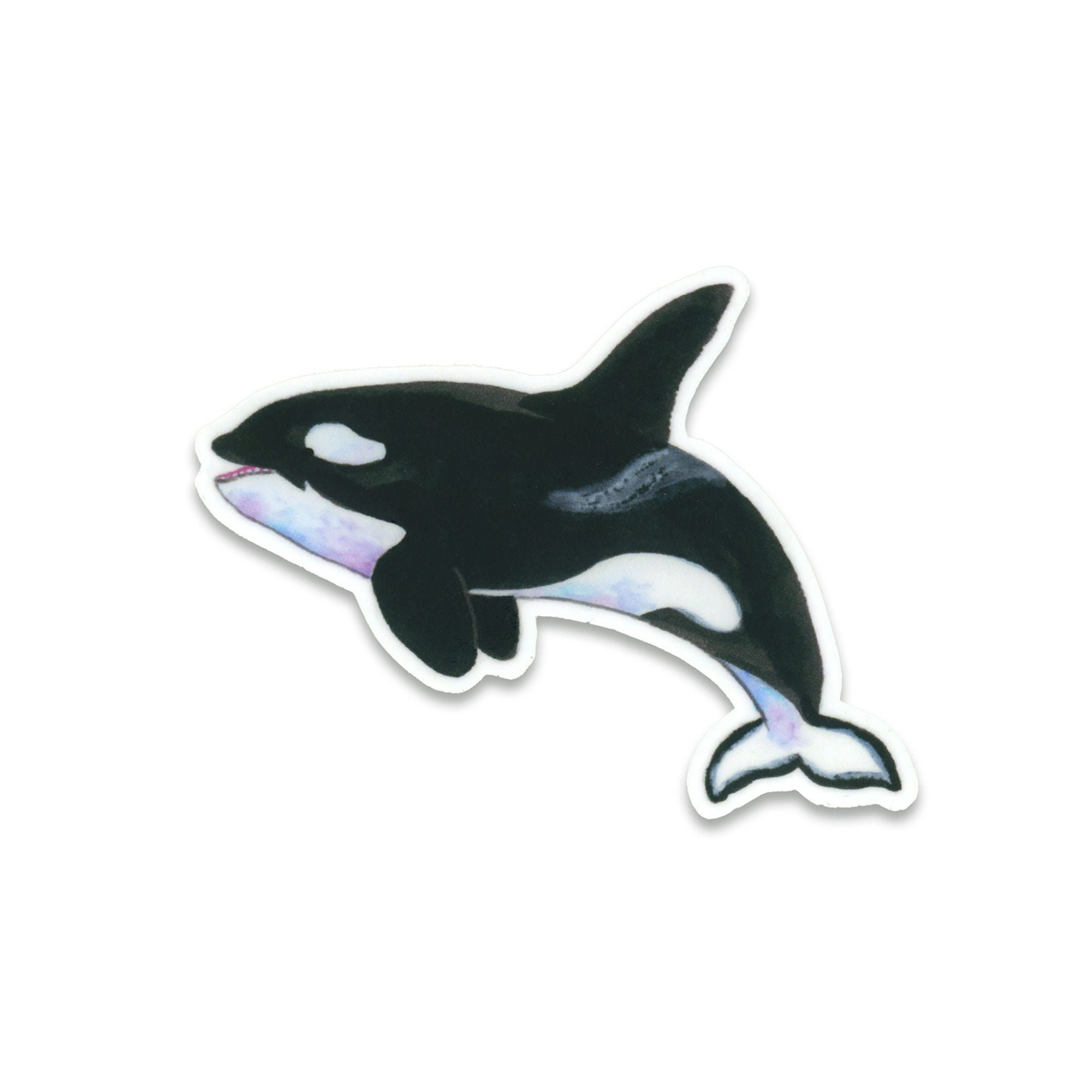 Orca Sticker - Etsy