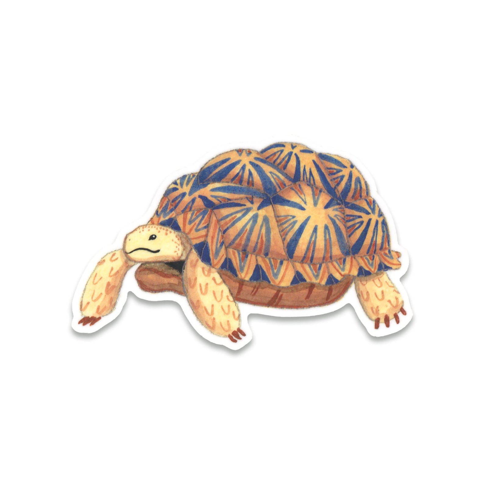 Tortoise Sticker - Etsy