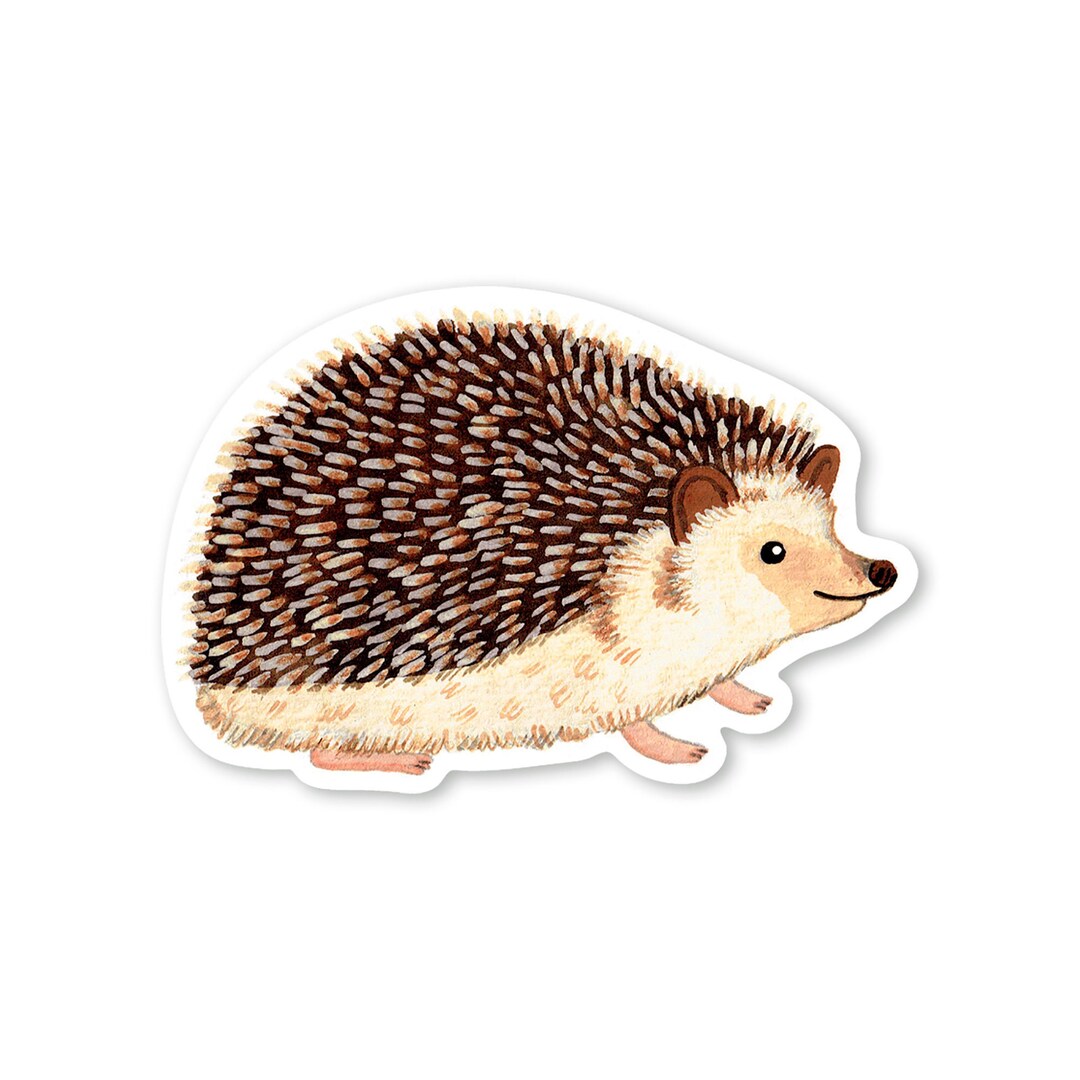 Hedgehog Sticker - Etsy