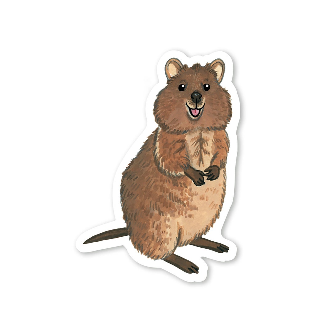 Quokka Sticker - Etsy