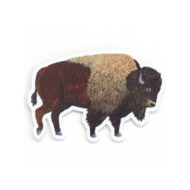 Bison Sticker - Etsy