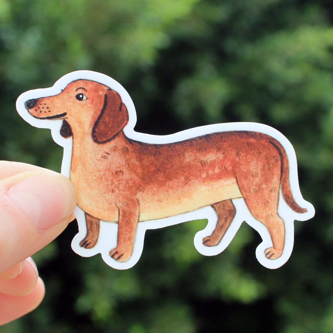 Dachshund Vinyl Sticker - Etsy