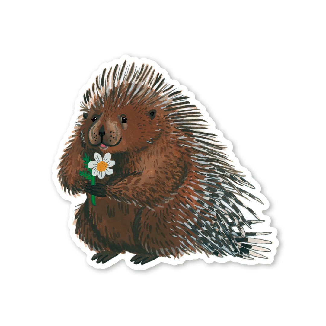 Porcupine Sticker - Etsy