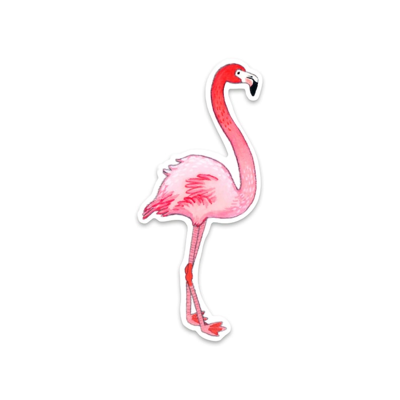 Flamingo Sticker - Etsy