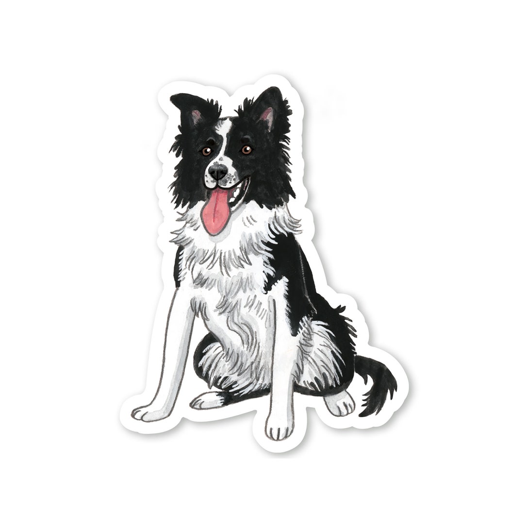 Border Collie Sticker - Etsy