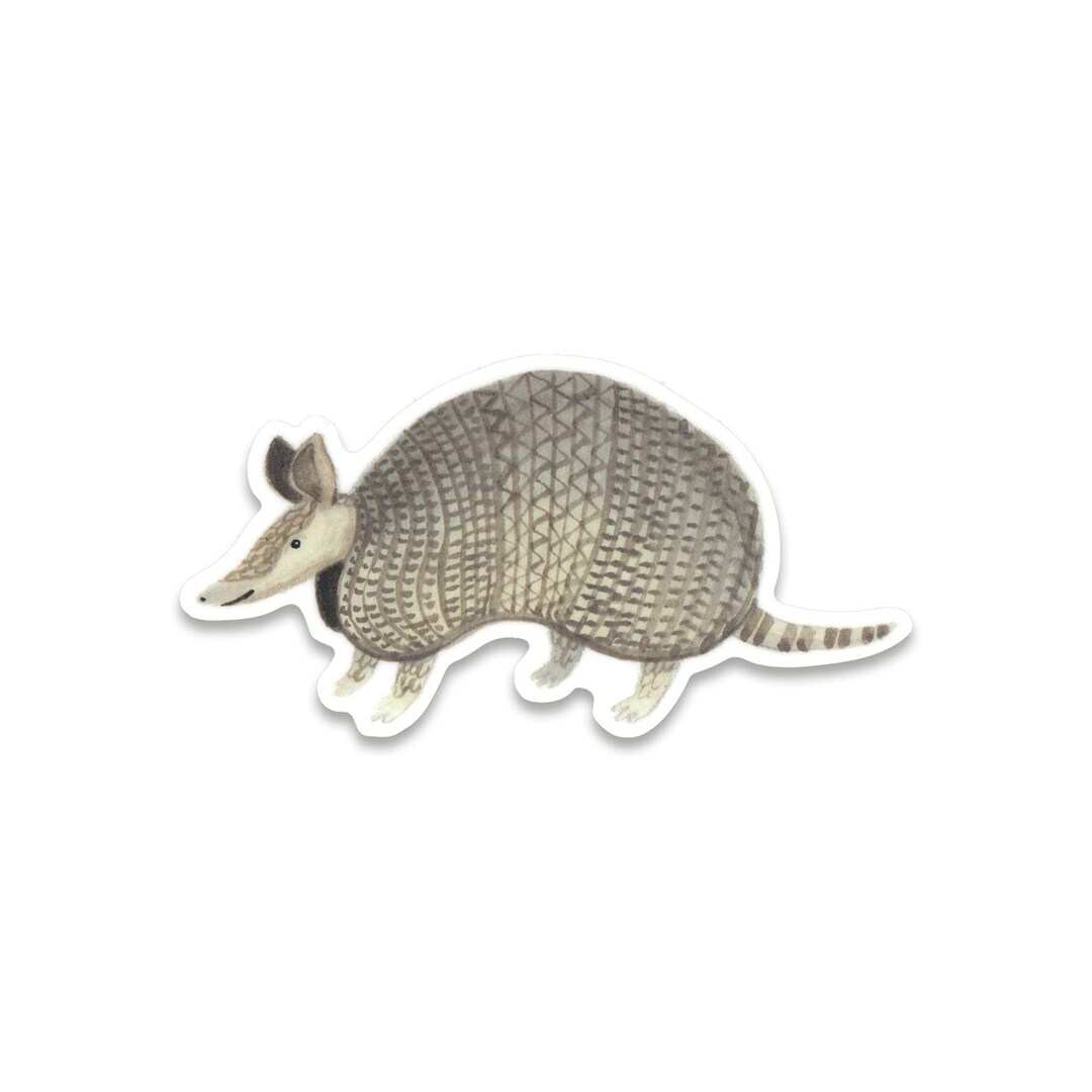 Armadillo Sticker - Etsy