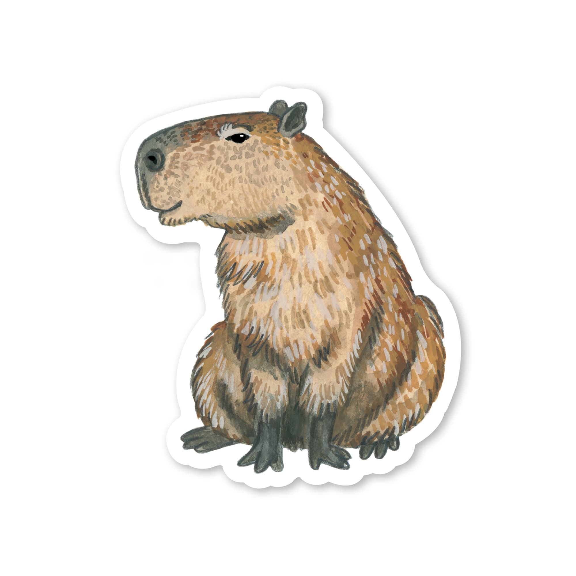 Capybara Sticker - Etsy