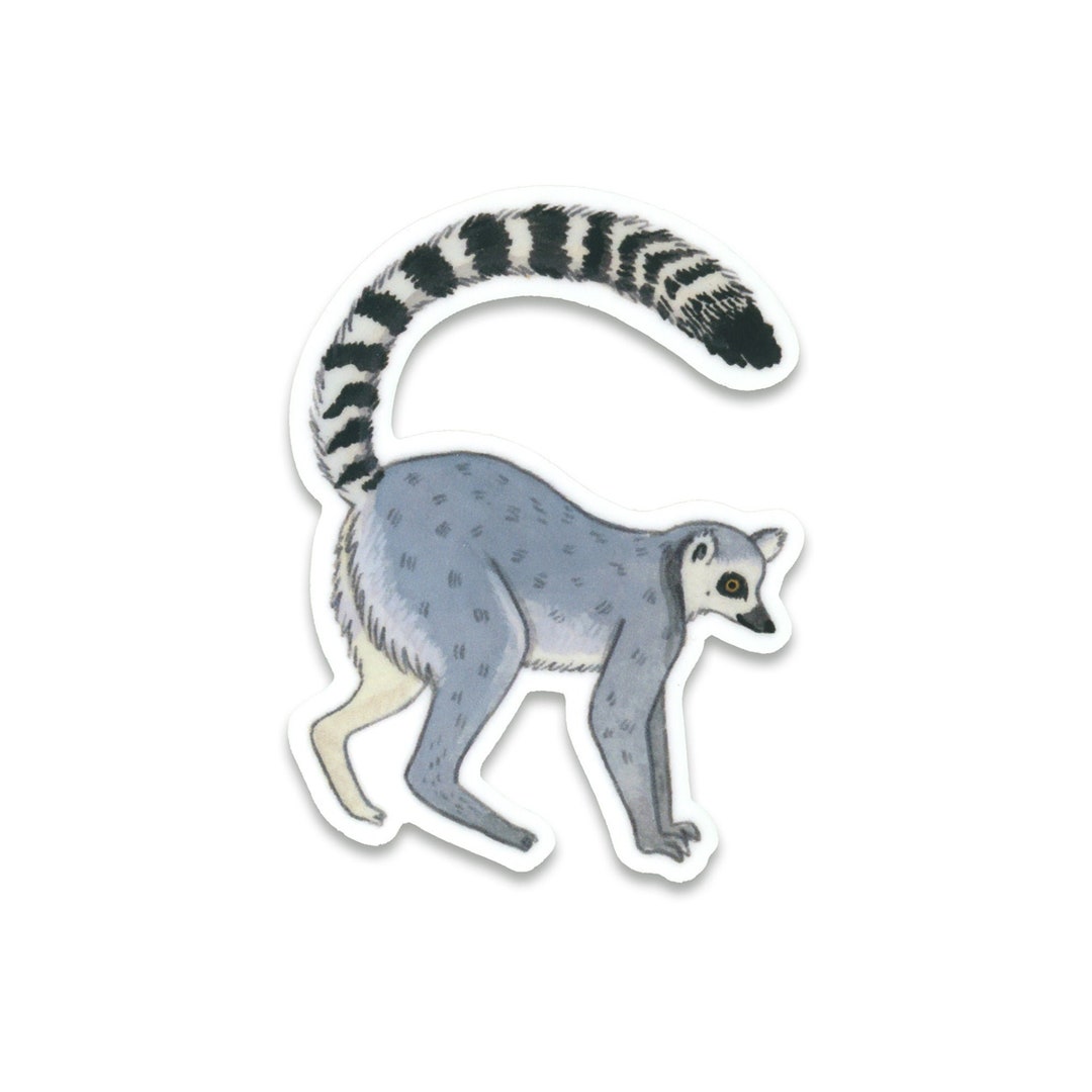 Lemur Sticker - Etsy