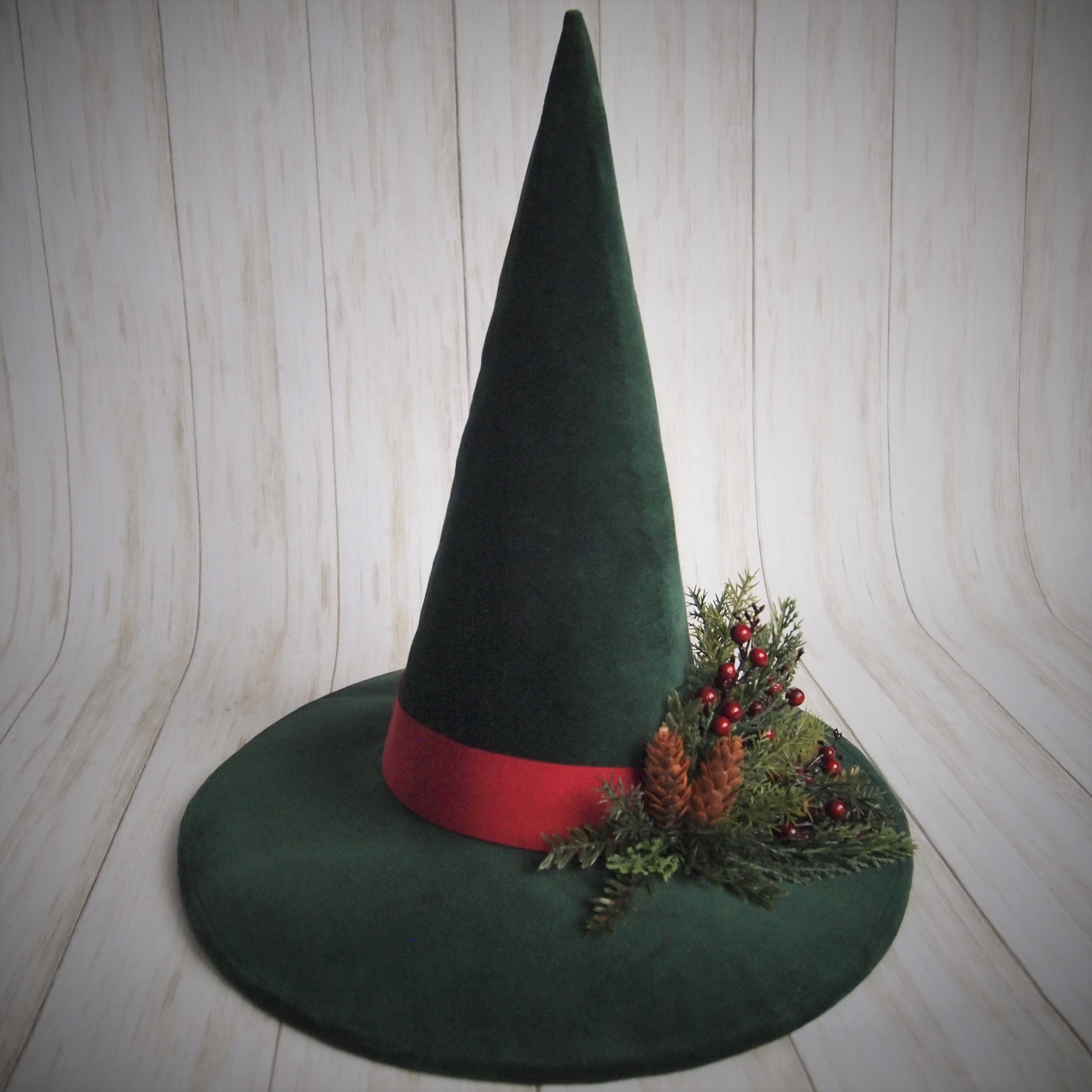 Witch Hat Witch of the Winter Woods