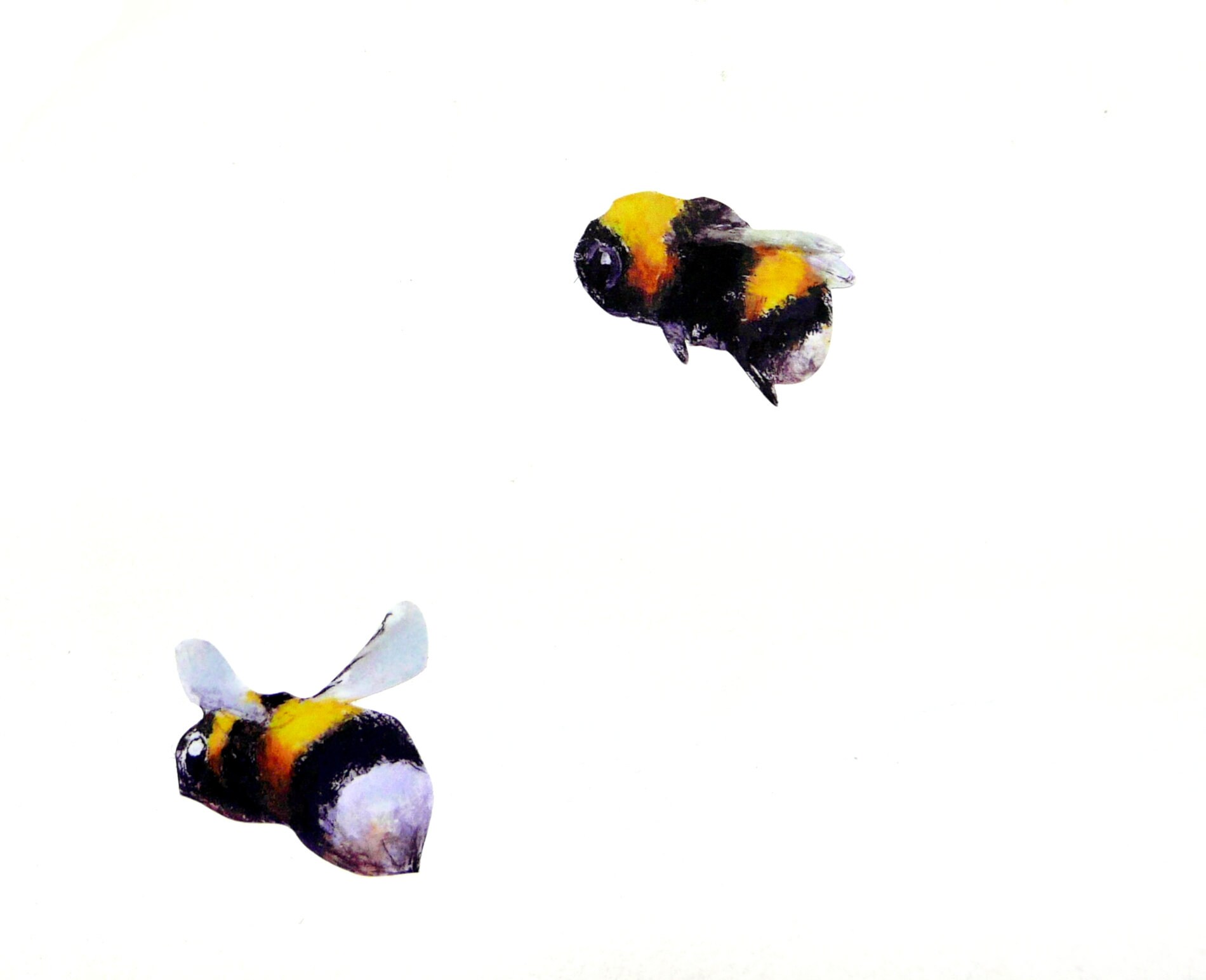 Save the Bees 9 Bumble Bee Wall Stickers / Window Car | Etsy UK