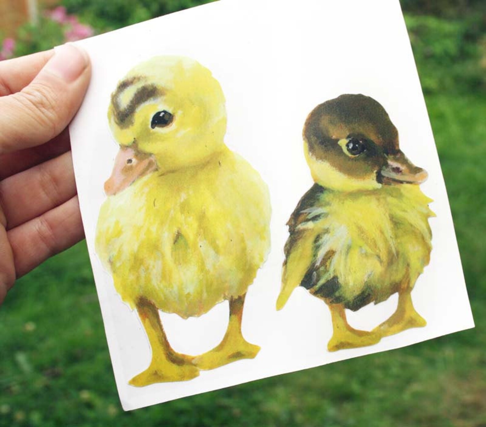 Two Little Duckling Wall Stickers / Decals, Bathroom Decor, Bath Time ...