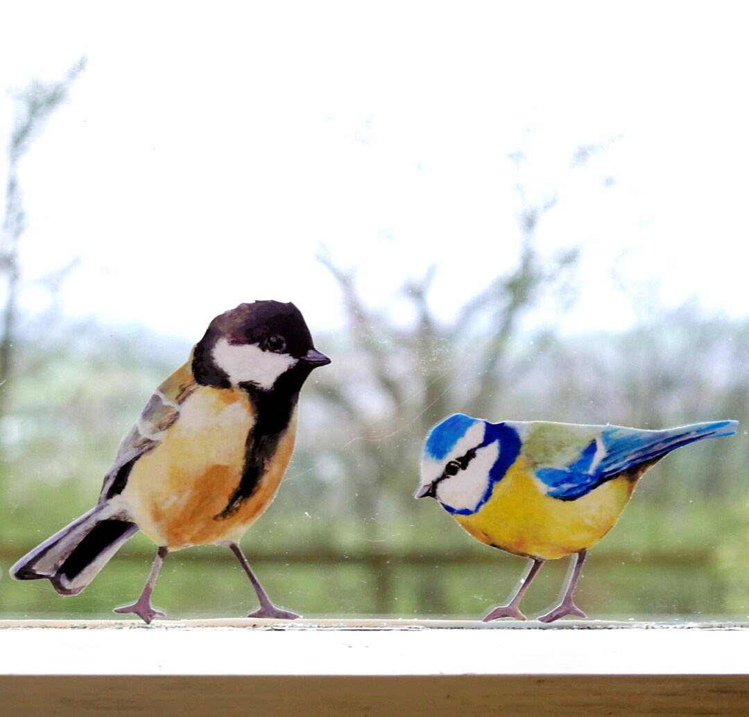 Two Bird Wall Stickers / Decals | Blue Tit and Great Tit | British ...