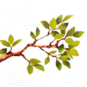 Tree Branch Decal - Woodland / Nursery Mural - Wall Sticker - Etsy