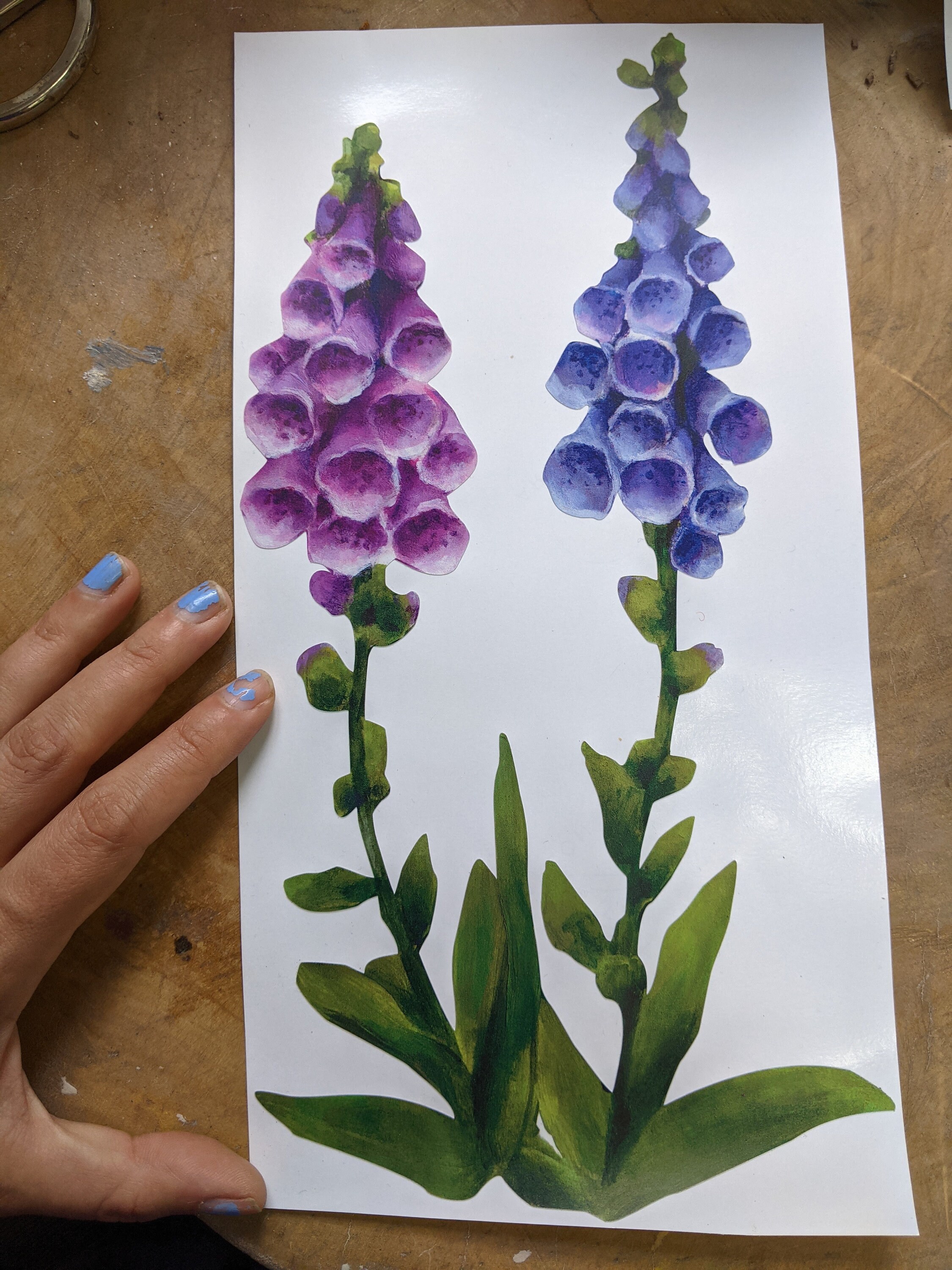 Foxglove Flower Decals Wall Stickers - Etsy UK