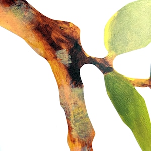 Tree Branch Decal Pair - Woodland Mural - Set of Two Designs - Stickers ...