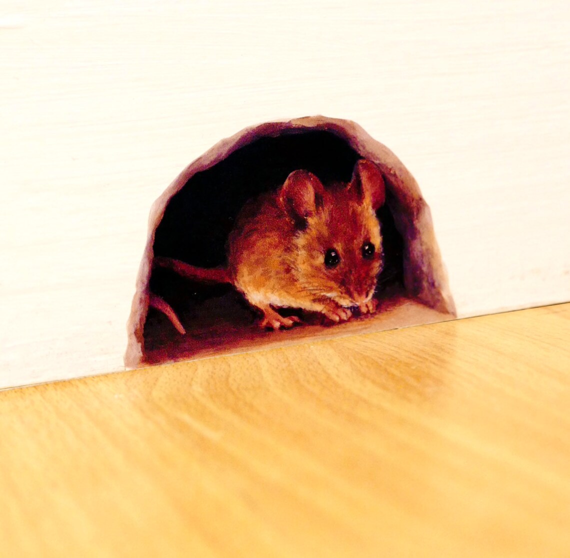 Mouse Hole Wall Sticker / Decal for the Skirting Board Mini | Etsy