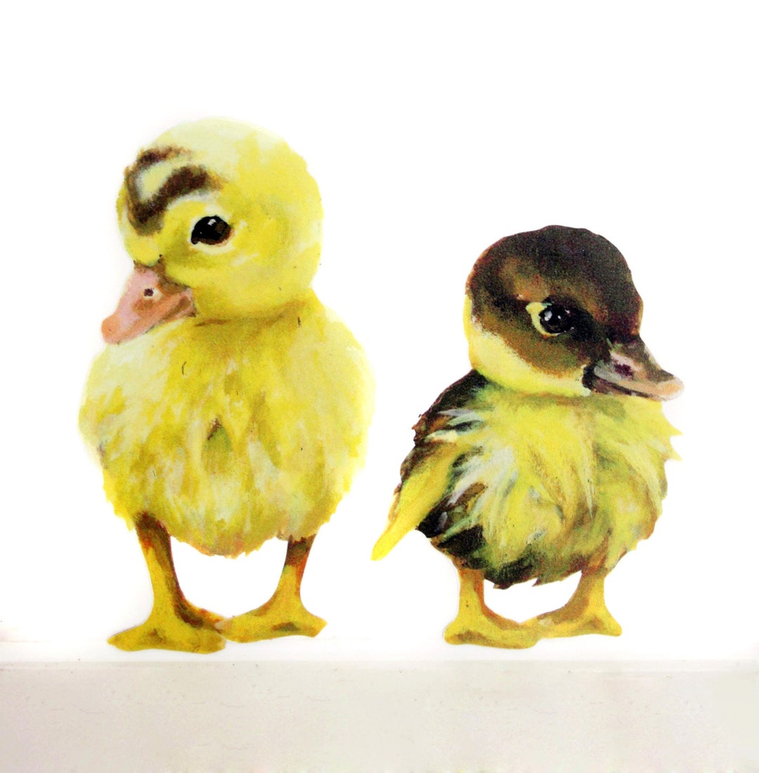 Two Little Duckling Wall Stickers / Decals, Bathroom Decor, Bath Time ...