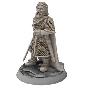 Rohan King Guards Huscarls Captain, Knight of Rohan, the Horse-lords ...