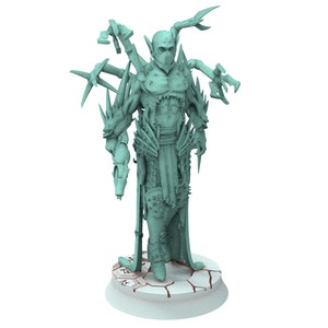 Dark City Torture Master, Artisan of Flesh Dark Elves Raiders Eldar ...