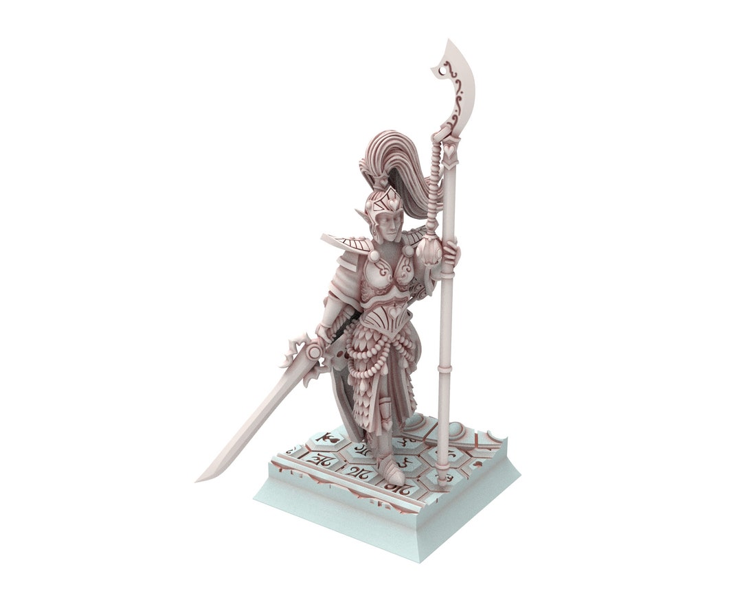Hight Elves 28mm Highborne Elves Handmaiden of Qeen, Fantasy Elves ...