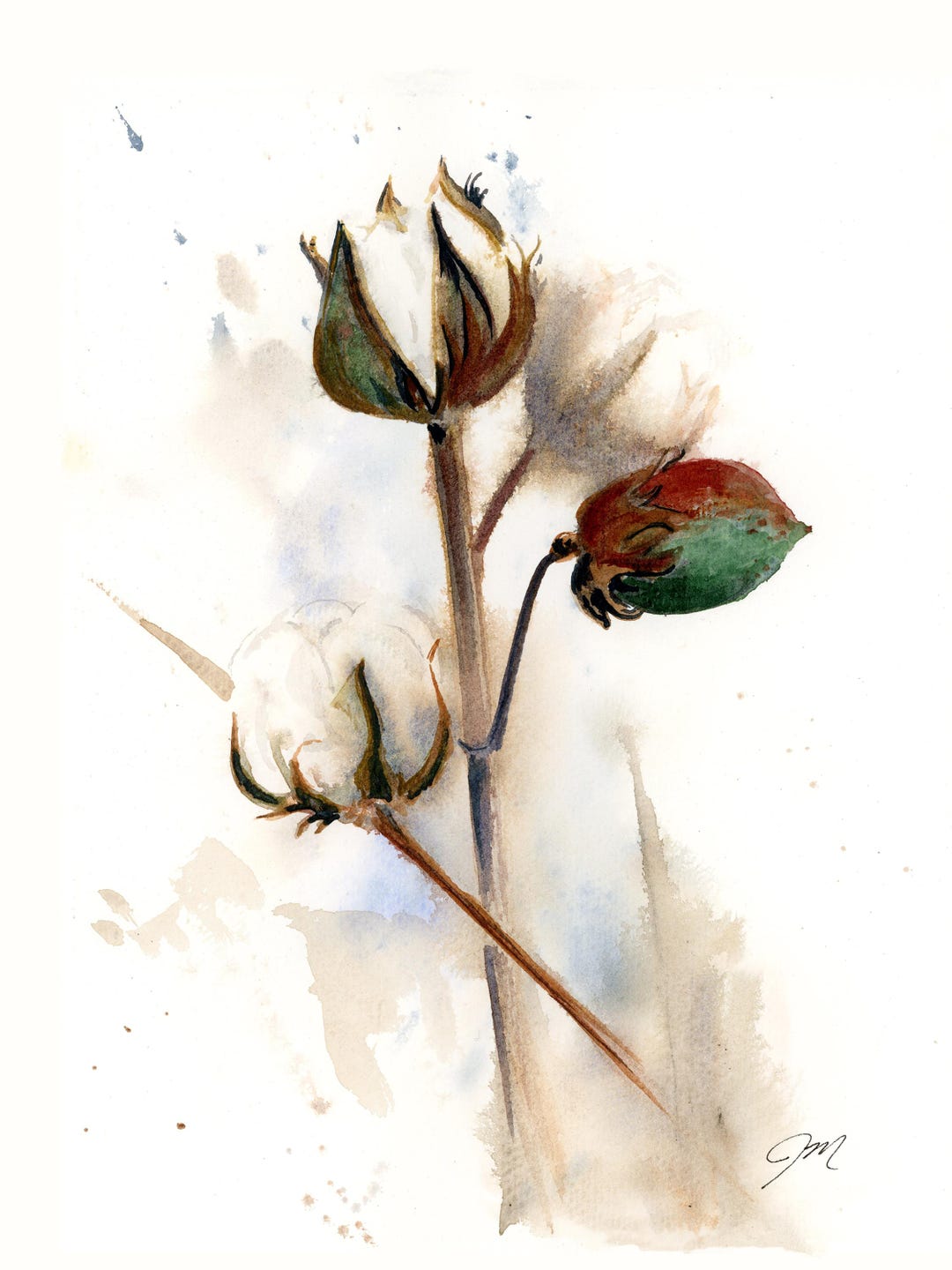 Cotton Boll Watercolor Painting, Farmhouse Wall Art (digital Download ...
