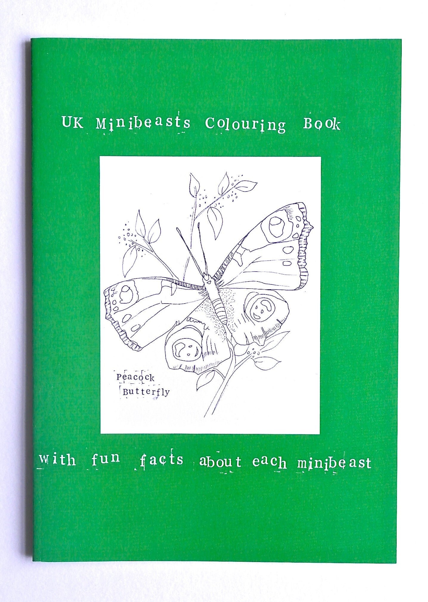 Bugs Colouring Book Colouring Book of Minibeasts Insects | Etsy