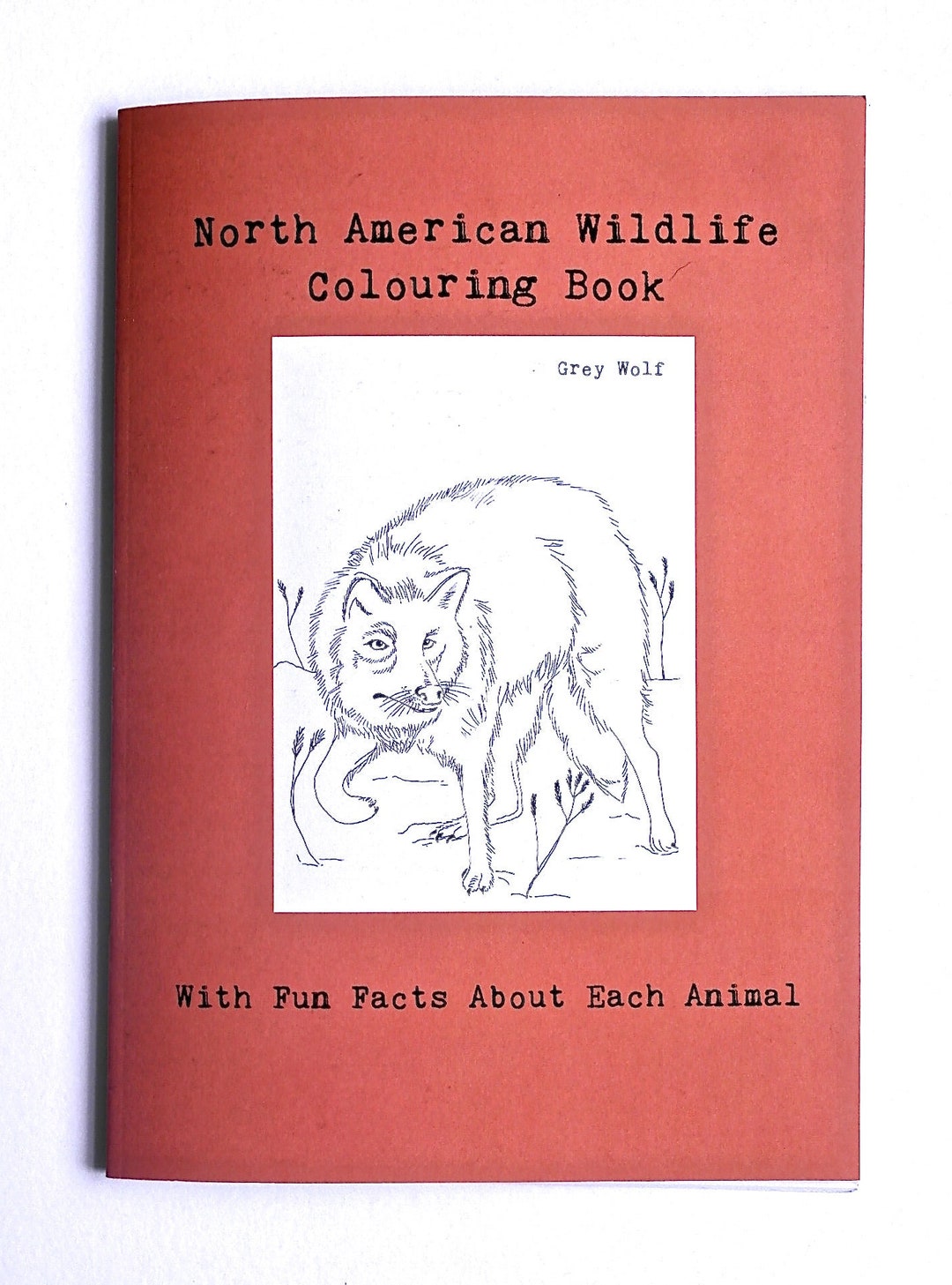Wildlife Colouring Book, Hand Illustrated North American Wildlife ...