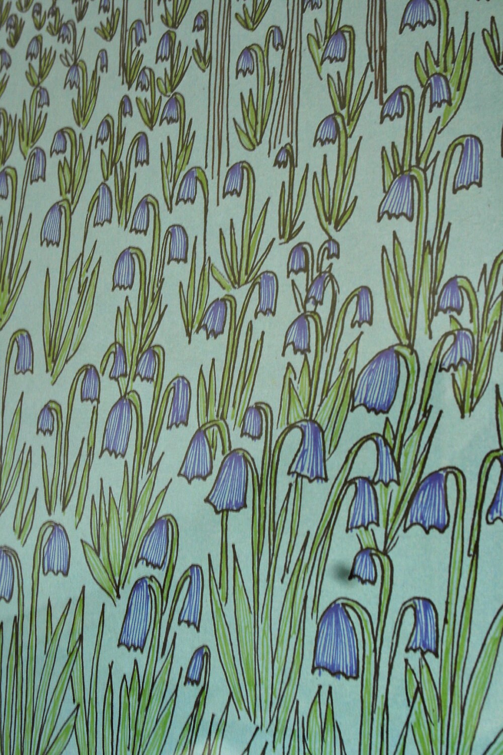 Buy Bluebell Picture, Bluebell Print, Illustrated Bluebells Print ...