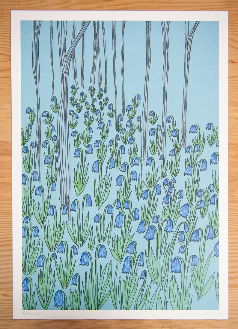 Buy Bluebell Picture, Bluebell Print, Illustrated Bluebells Print ...