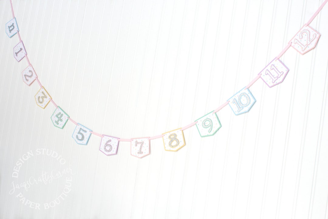 Pastel Rainbow First Year Photo Banner: Glitter Milestone Garland - Etsy