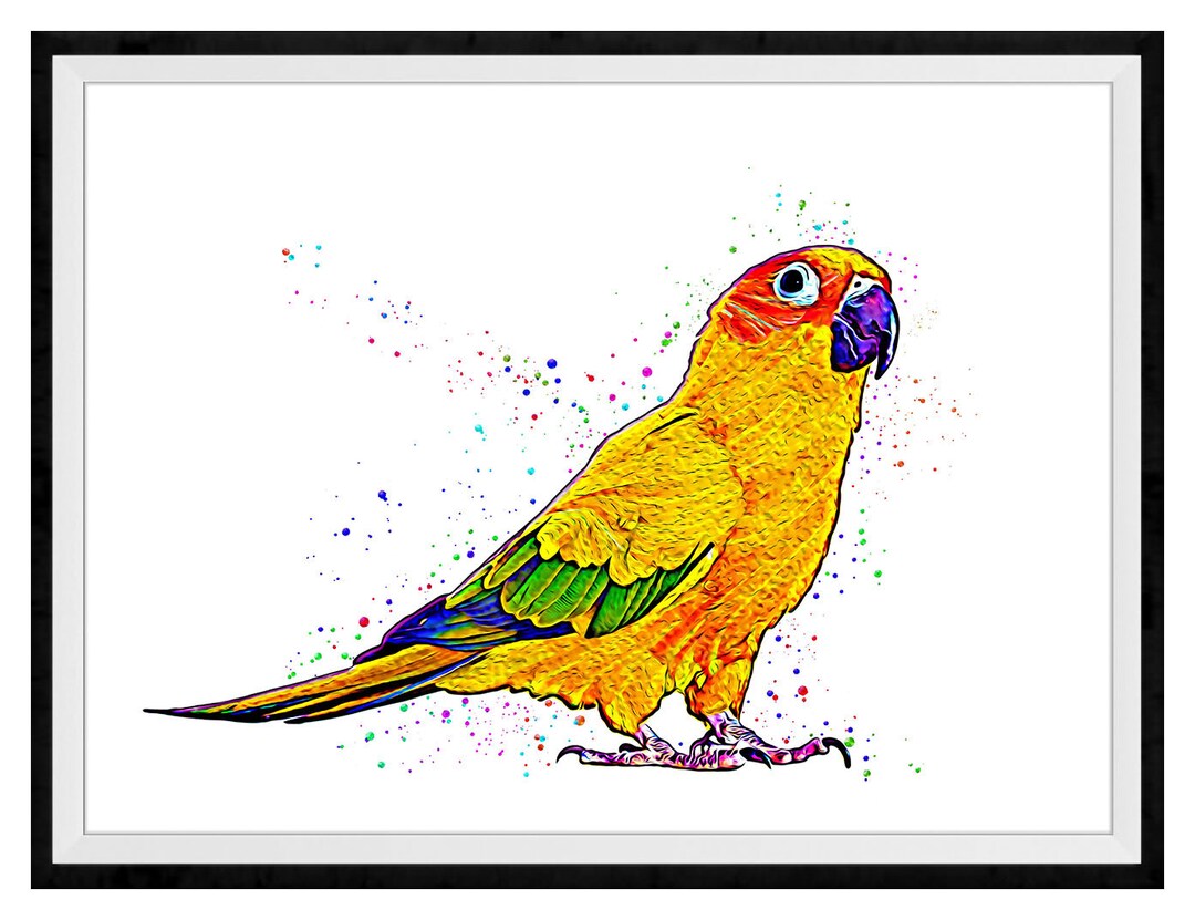 Sun Conure Mixed Media Painting Art Print #2 - Etsy