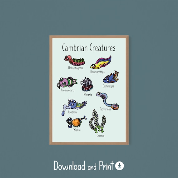 Cambrian Creatures Printable Poster Wall Art Instant - Etsy