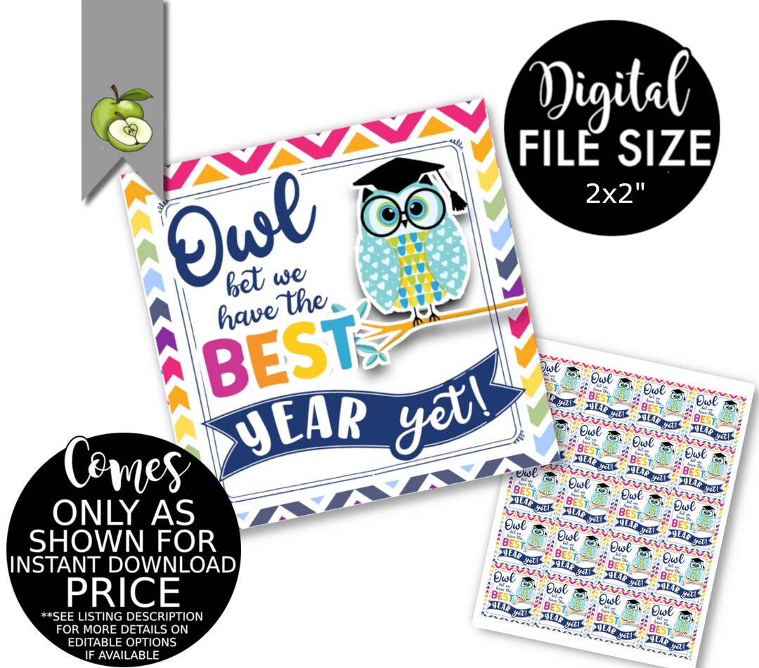 Owl Bet We Have the Best Year Yet Welcome Back to School Class Gift Tag ...