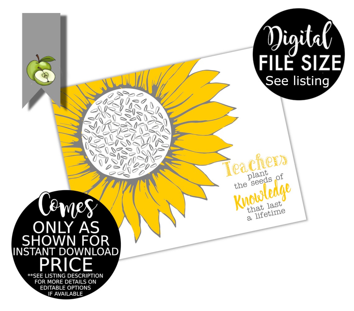 Sunflower Teacher Appreciation Gift Plant the Seeds of - Etsy