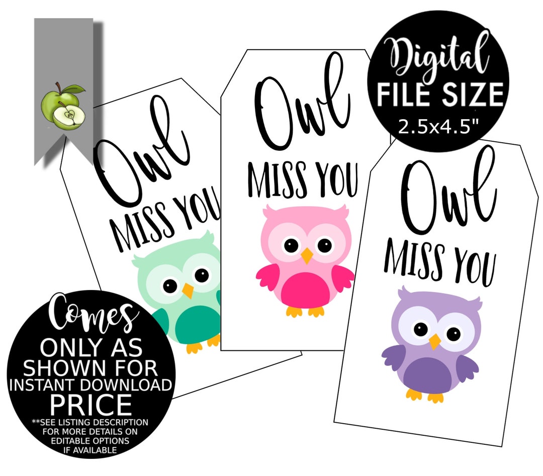 Owl Miss You Friend Owl Gift Tag, Leaving Tag, Last Day of School, Owl ...