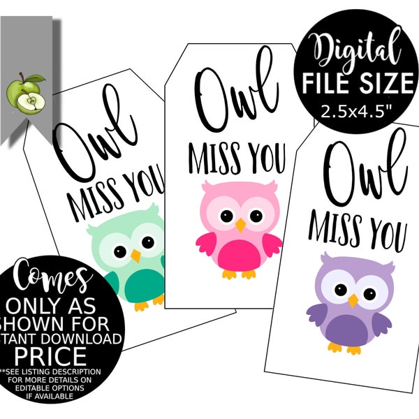 Owl Gift Bags - Etsy