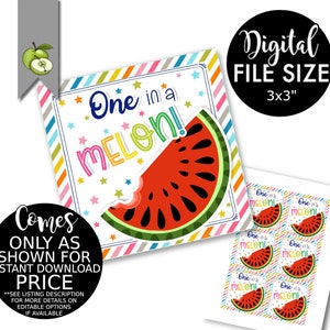 Teacher Appreciation One in a Melon Printable Gift Tag, Million ...