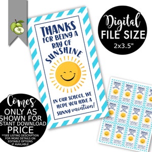 Summer Sun Teacher Appreciation Printable Gift Tags, Thanks for Being a ...