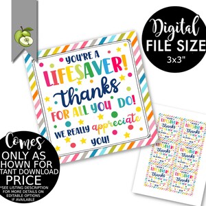 Lifesaver Thank You Gift Tags, We Really Appreciate You, Nurse ...