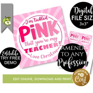 I'm Tickled Pink You're My Teacher Gift Tags - Etsy