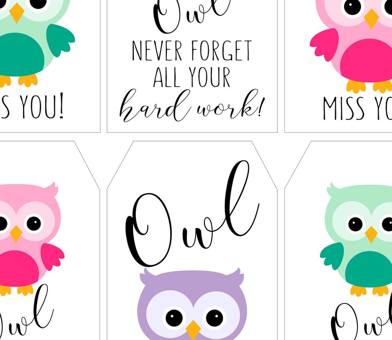Teacher Owl Gift Tag Teacher Appreciation Staff Appreciation - Etsy ...