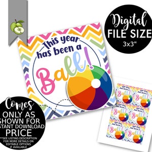 BEACH Ball Gift Tags, This Year Has Been a Ball, BEACH Party Favor ...