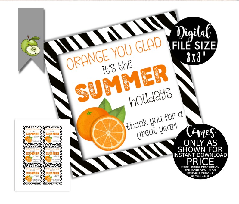Summer HOLIDAY Teacher Gift Tags Orange Fruit Summer Sun - Etsy