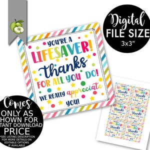 Lifesaver Thank You Gift Tags, We Really Appreciate You, Nurse ...