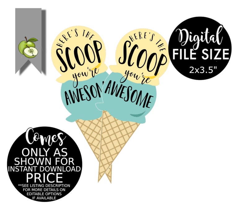 Here's the Scoop You're Awesome Gift Tag Ice Cream - Etsy