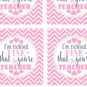 Tickled Pink Tags Teacher Gift Tags I'm Tickled Pink | Etsy