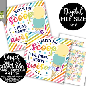 Here's the Scoop You're Awesome Gift Tag, Ice Cream Gift Tag, Ice Cream ...